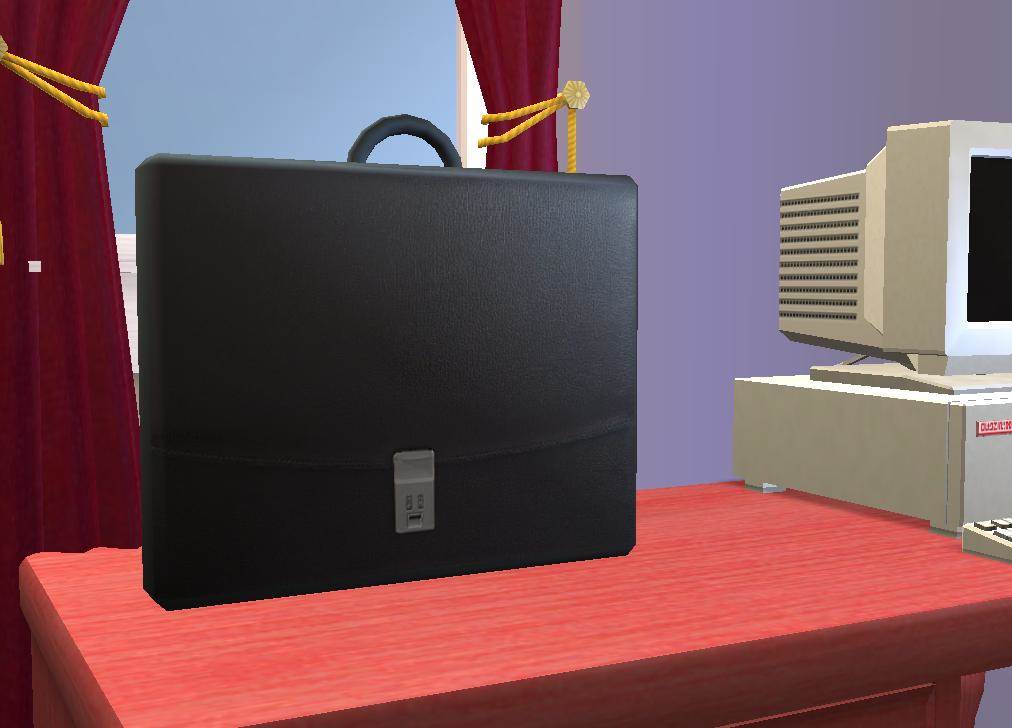 His 'n' Hers Briefcases | Sim Fans UK