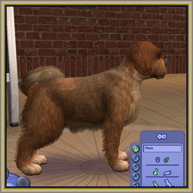Petz - Dog - Shih Tzu | Sim Fans UK