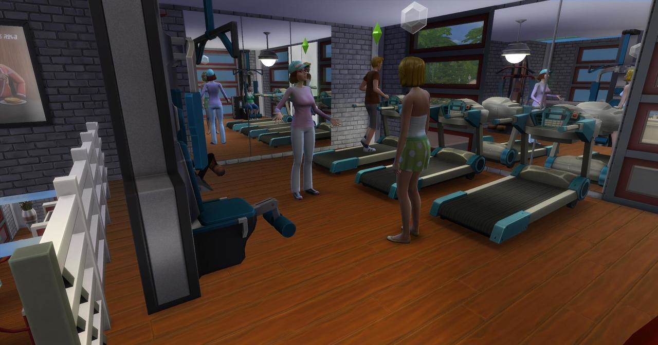 Slim Sim Gym | Sim Fans UK